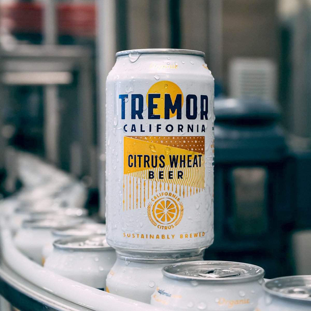 Five High-Scoring Beers to Try This Summer - The Beer Connoisseur®