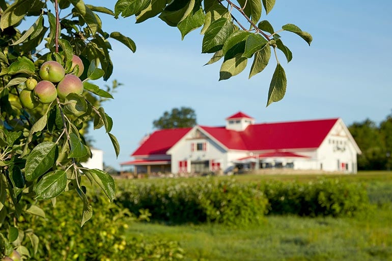 20 of the Most Beautiful Scenic Apple Orchards Around the World - The ...
