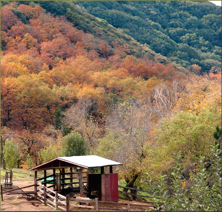 20 of the Most Beautiful Scenic Apple Orchards Around the World - The ...