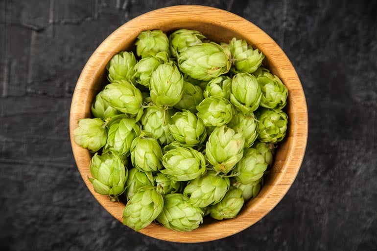 What Is IBU in Beer? Meaning & Bitterness Explained - The Beer Connoisseur®