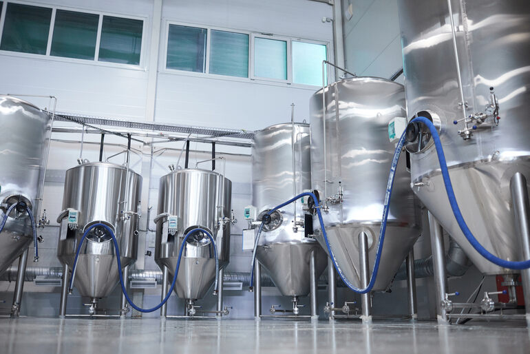 When Beer Meets Biotech: Exploring Fermentation-Driven Functional Brews